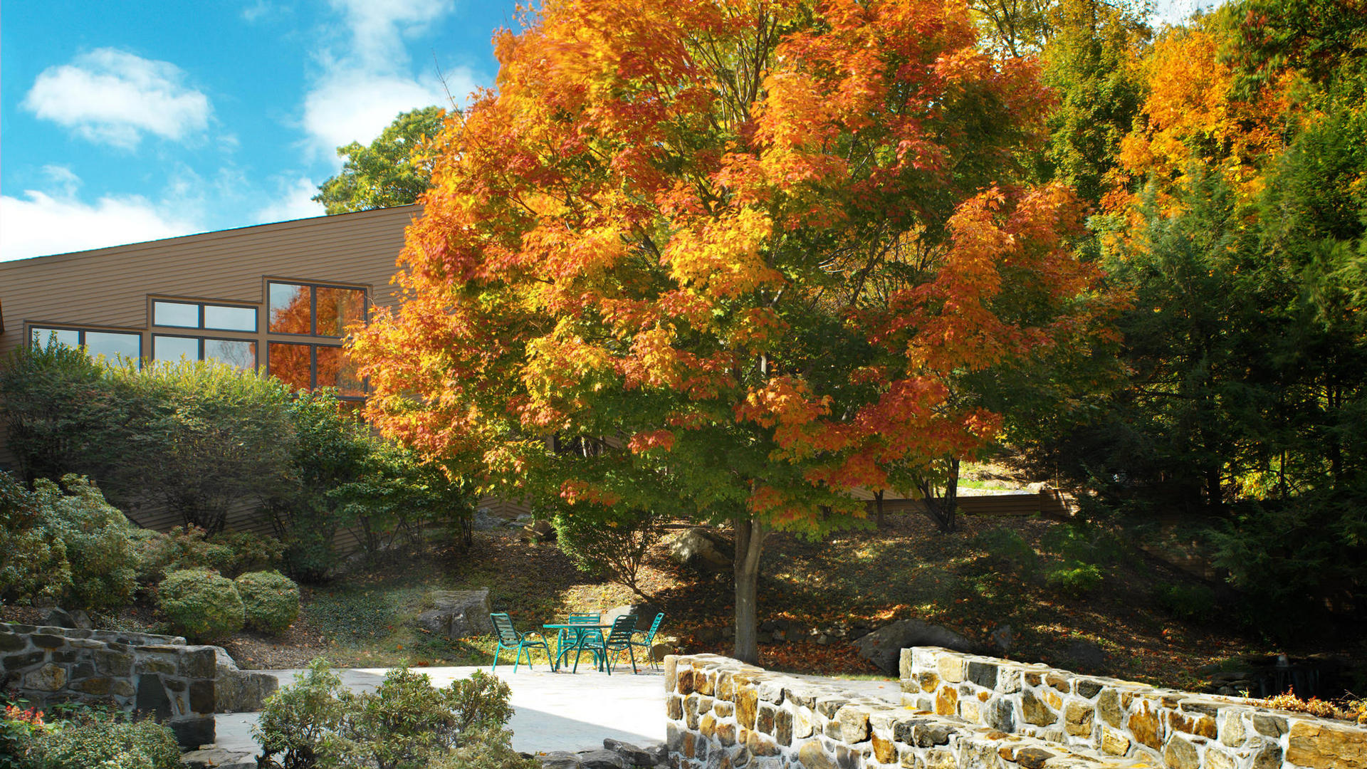 Private Retreat Venue | Westchester NY | Edith Macy Center