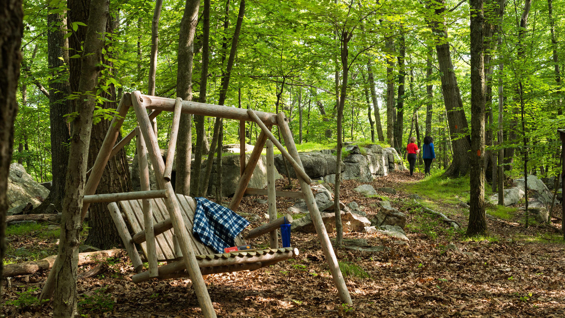 Outdoor Meeting Venue | Lakeside Events | Edith Macy Center